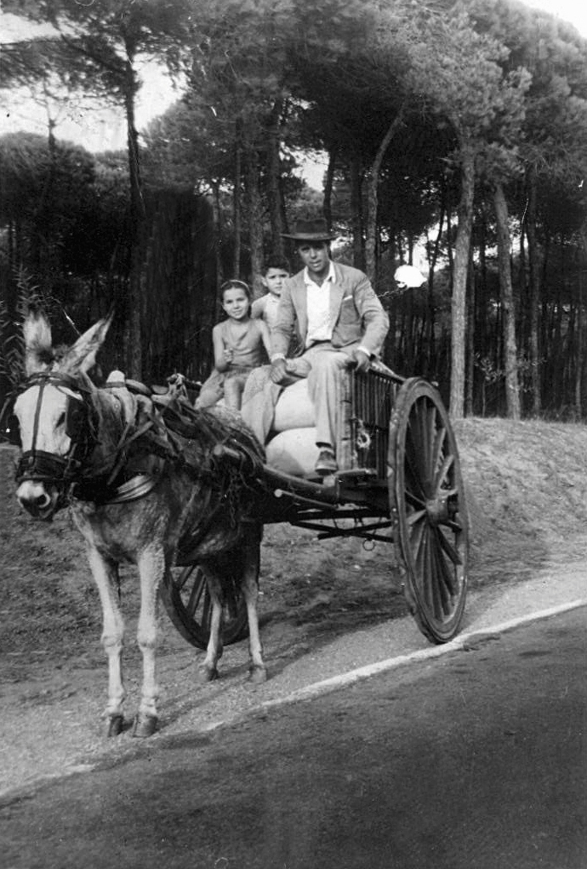 Transport | Sitio de Calahonda